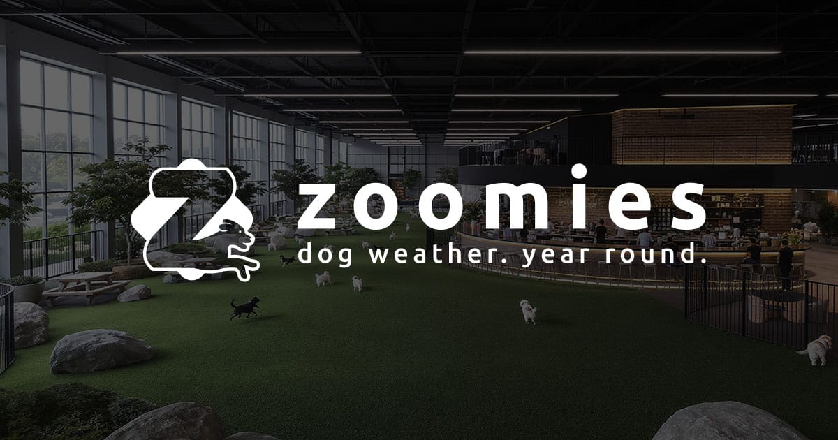Zoomies Chicago – Premier Indoor Dog Park & Pup Playground